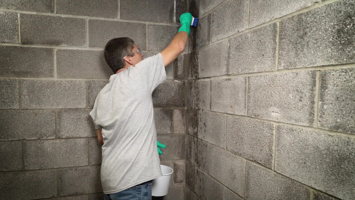 DRYLOK® Etch Powder Concrete and Masonry & Cleaner