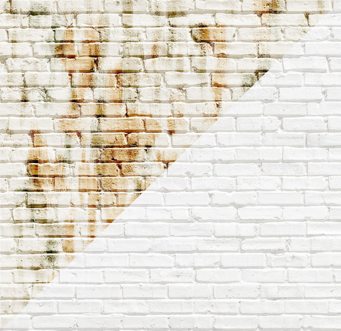 DRYLOK® Wet Wall Bonding Primer