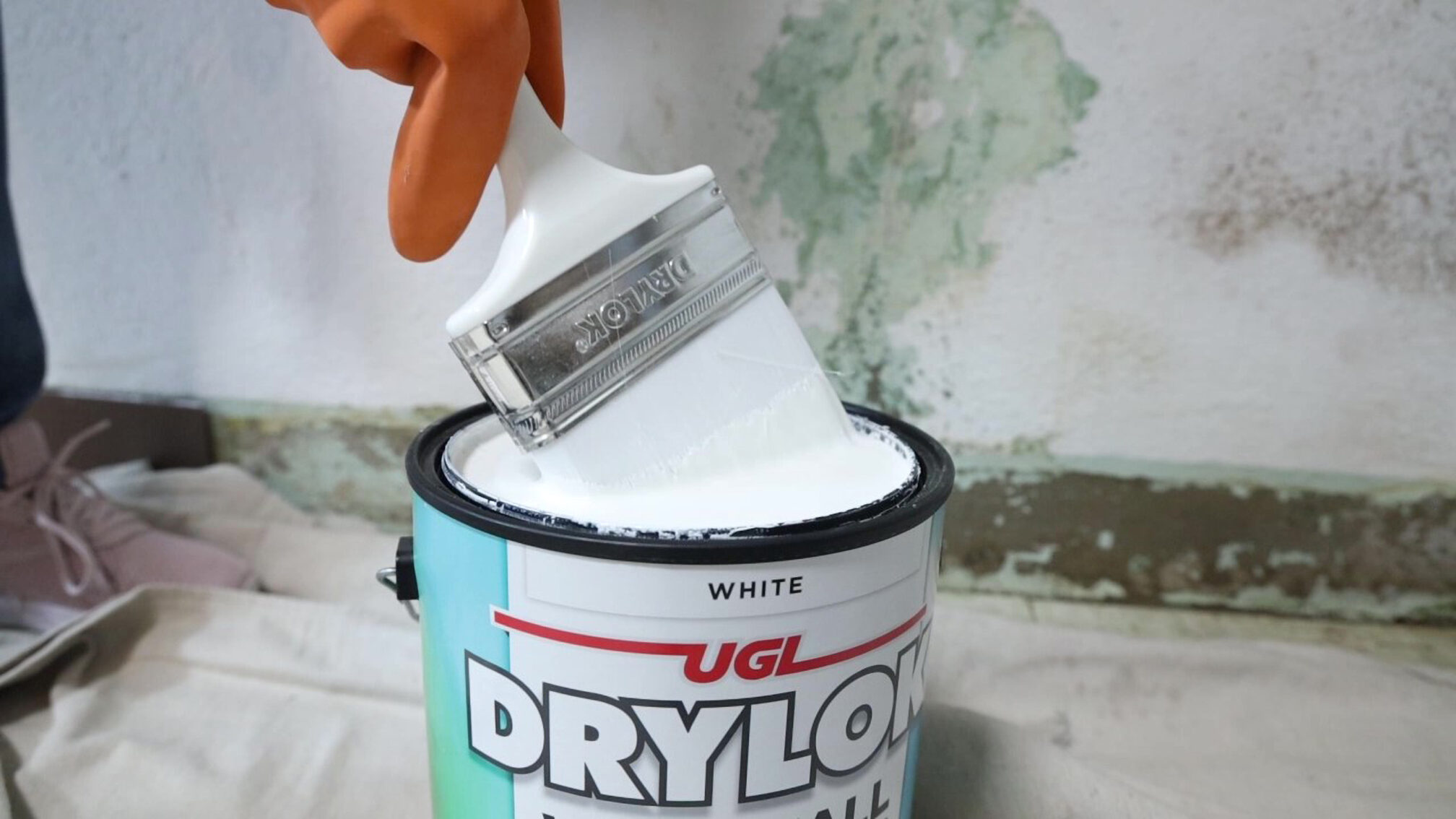 DRYLOK® Wet Wall Bonding Primer
