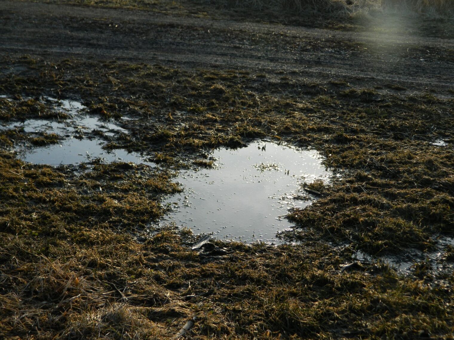 6 Tips for Keeping Water Out of the Worksite During Construction